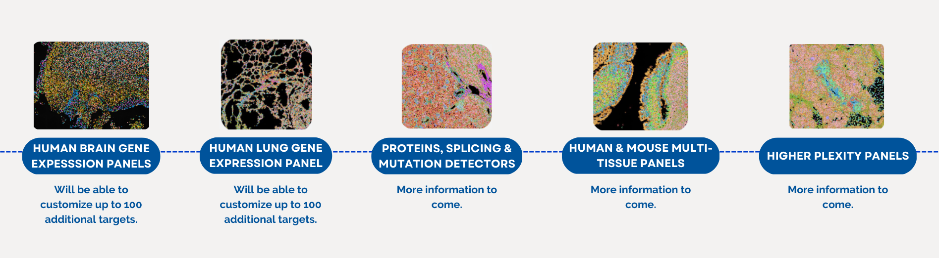 MGC in Situ Gene Expression | Duke Molecular Physiology Institute ...